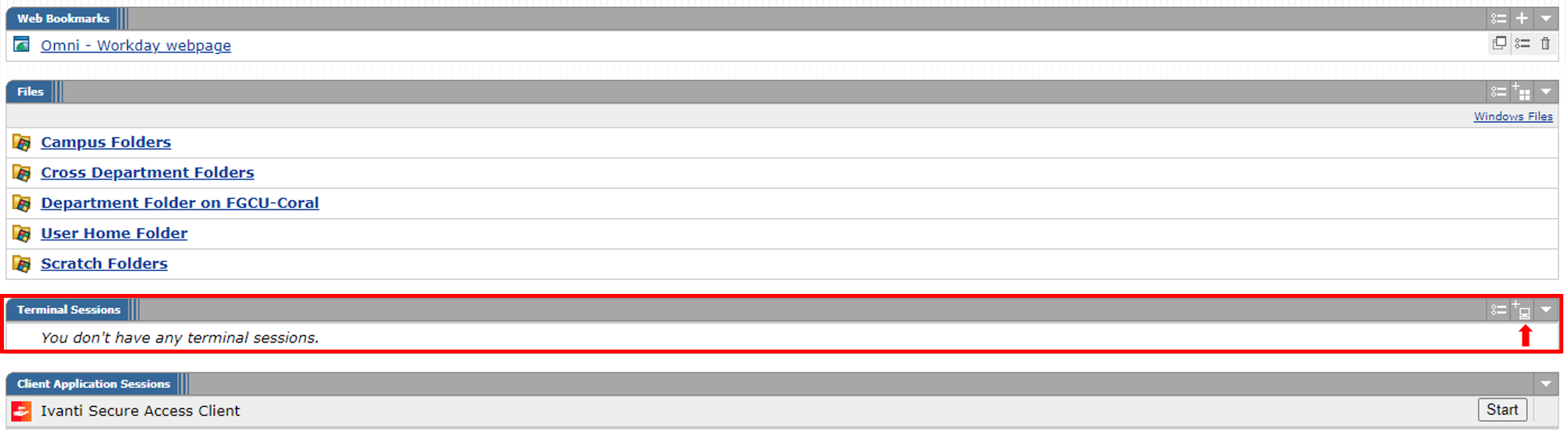 MyVPN for Remote Terminal Session – Florida Gulf Coast University ITS