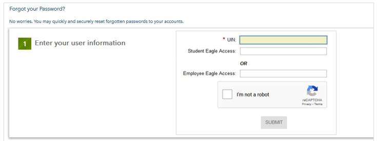Accessing Your Eagle Access Account for the First Time (Claim Your ...