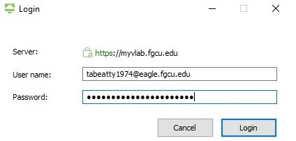 Getting Started with Virtual Lab (vLab) – Florida Gulf Coast University ITS